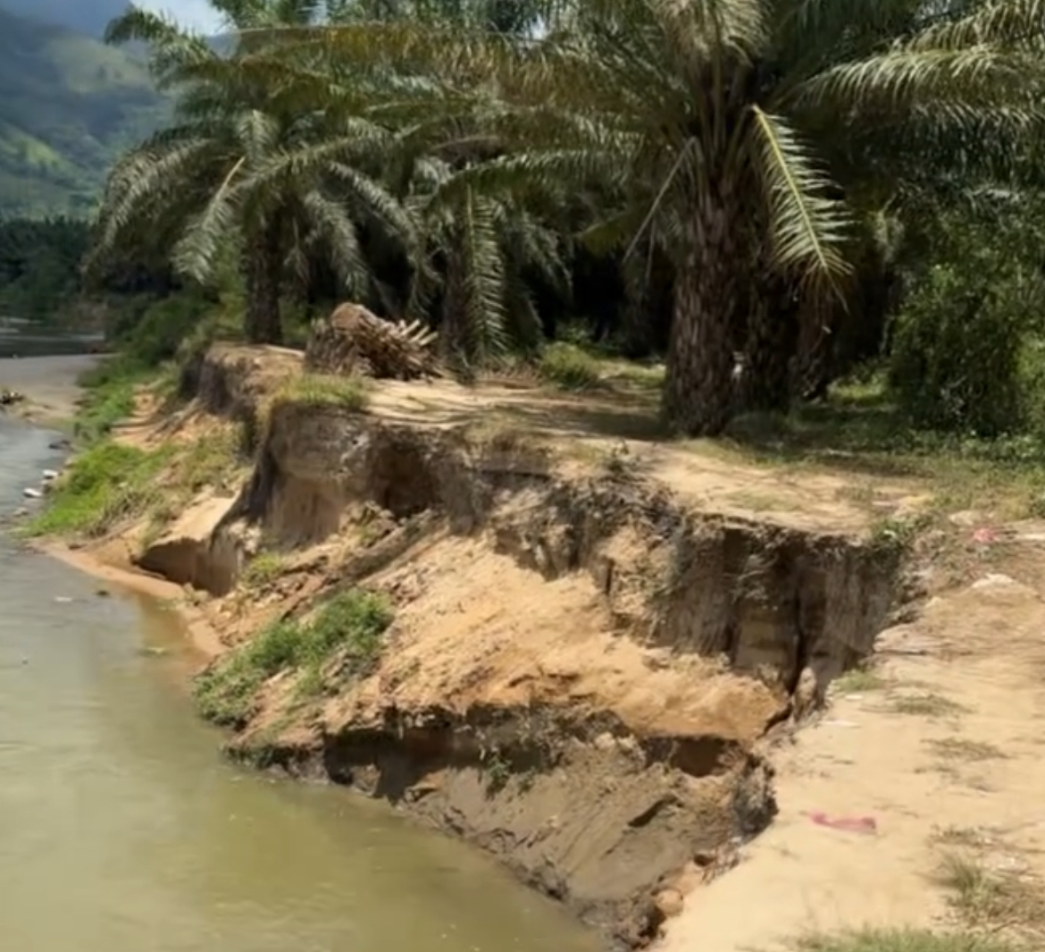En peligro Colonias de Tocoa porque río sigue avanzando hacia sus ...